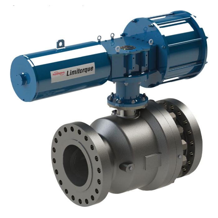 FLOWSERVE - LC Tech Engineering